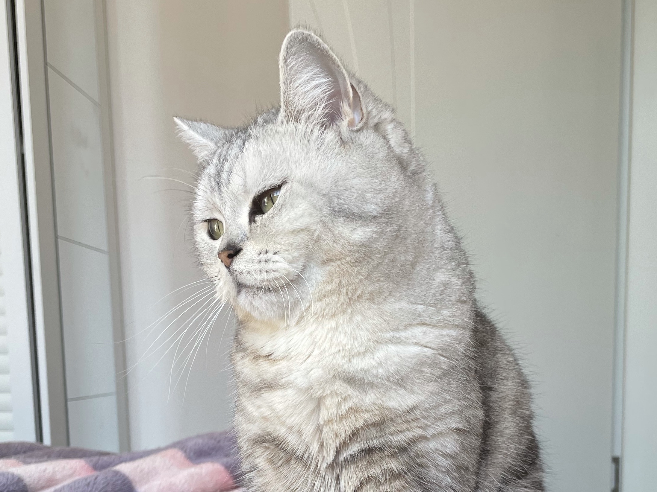 Latest Sydney Harbour YHA Map,Address, Nearest Station & Airport 2024 ...