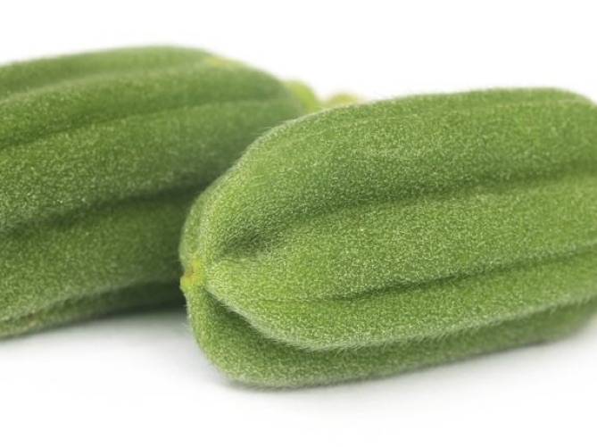 Latest Konkuk University Campus Map,Address, Nearest Station & Airport ...