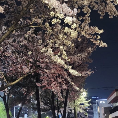 Latest The Royal Mandaya Hotel Davao Map,Address, Nearest Station ...