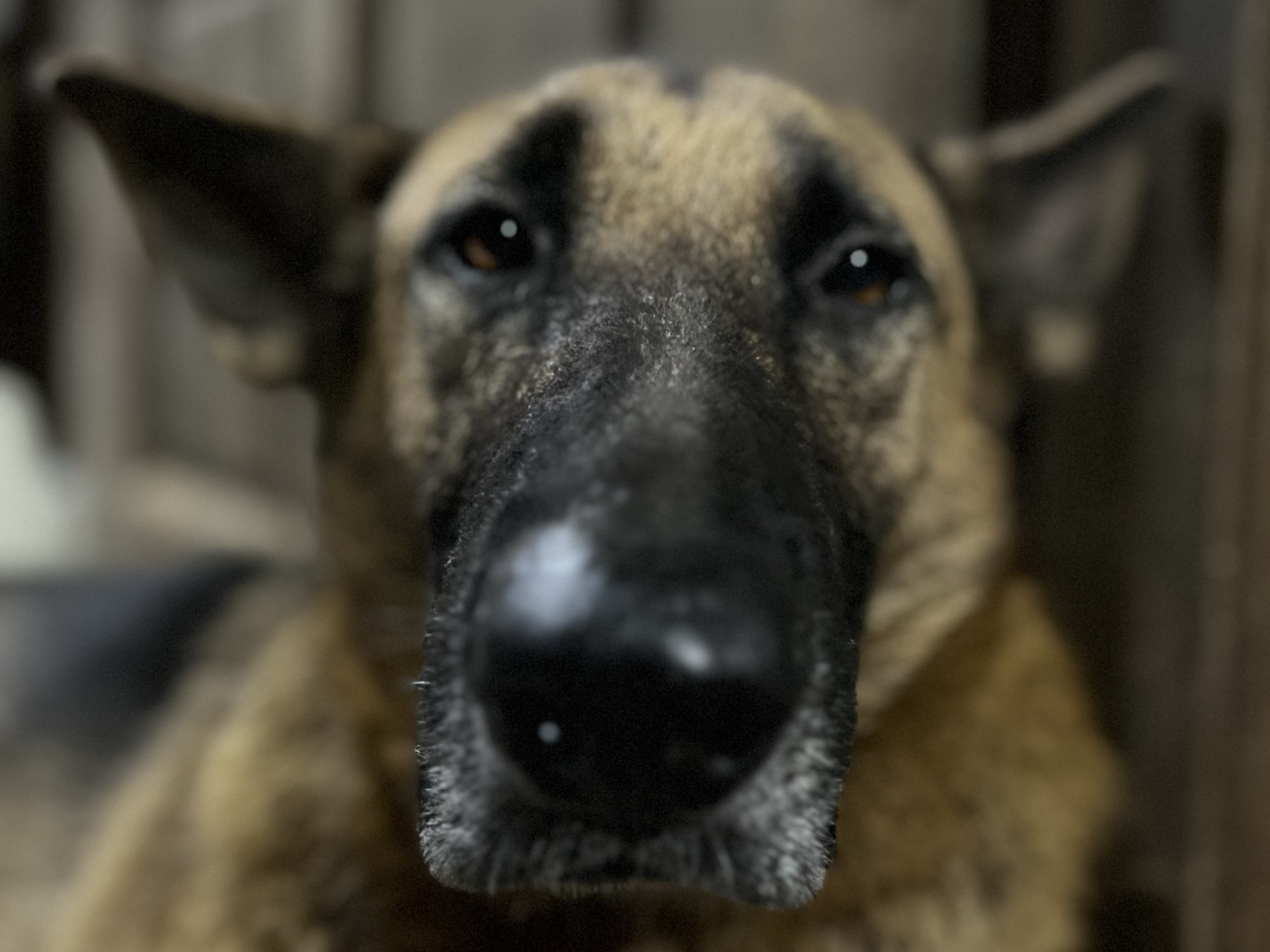 Latest 3-Plus Hotel Inanam Map,Address, Nearest Station & Airport 2023 ...