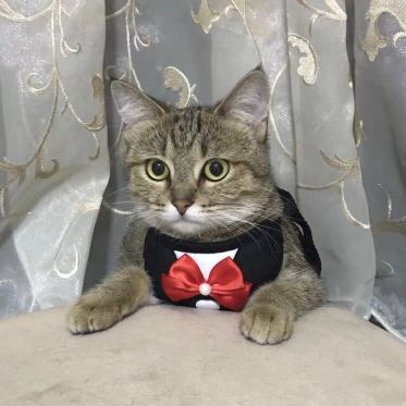 Latest Gasthaus Transilvania Map,Address, Nearest Station & Airport ...