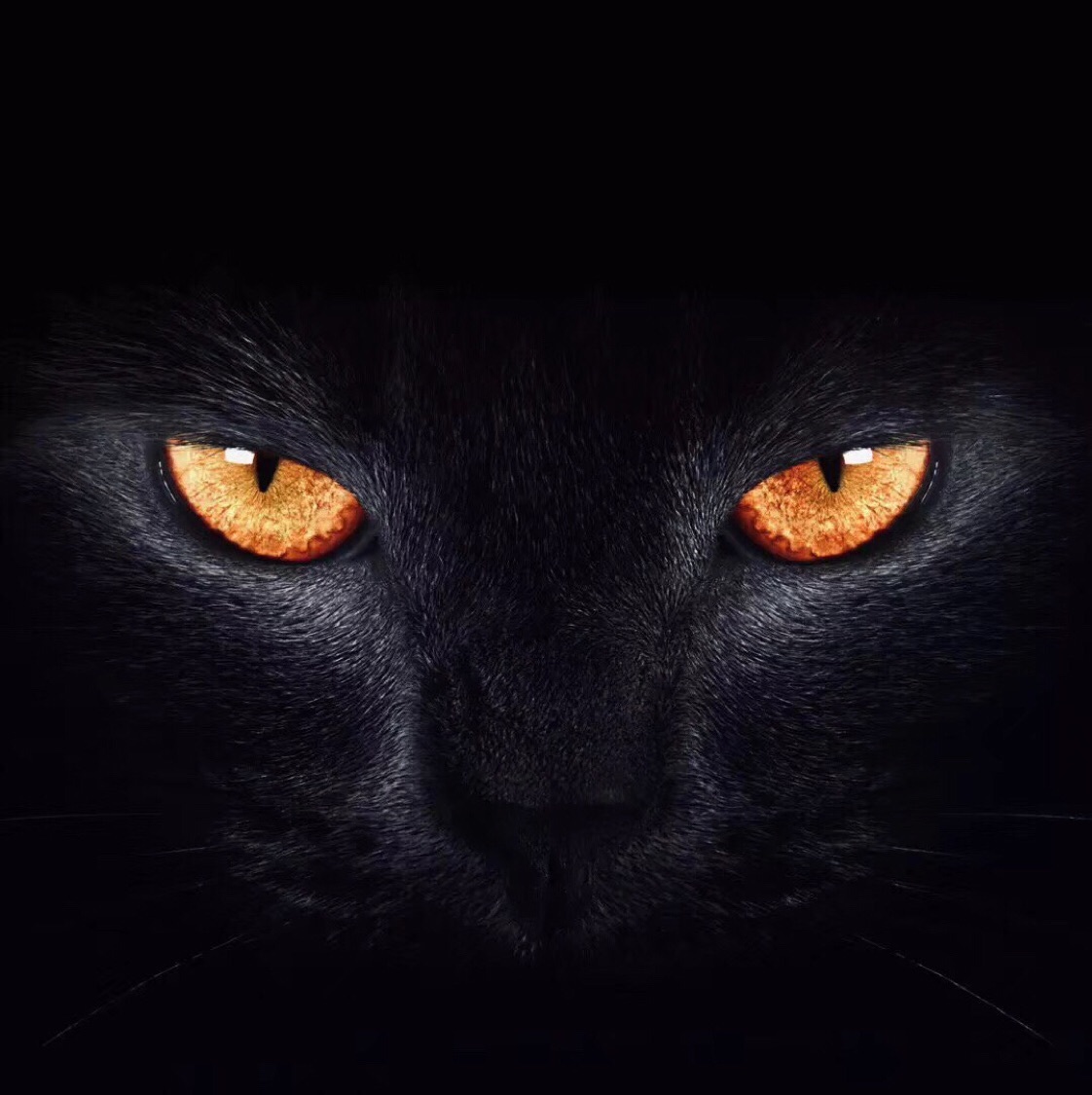 bei-jing-an-zhen-xi-yue-jiu-dian - Valoraciones de hotel de 3 estrellas ...