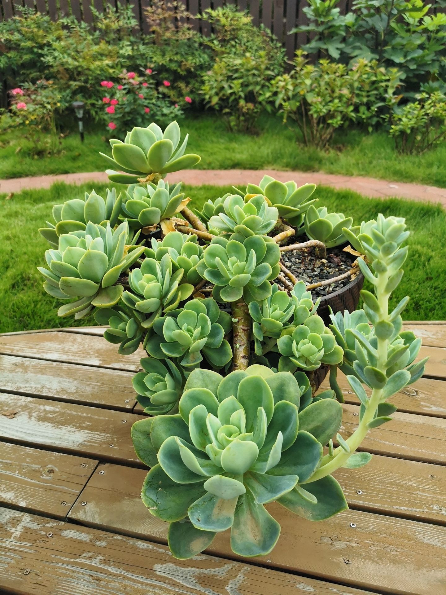 Latest Fujieda Park In Hotel Map,Address, Nearest Station & Airport ...