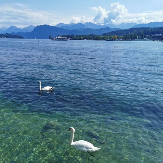 Top 10 Basketball court Hotels-2025 Luxury Hotels Ranking | Trip.com Blog