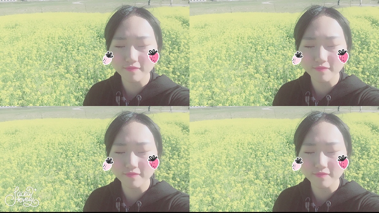 Latest Windang Tourist Park Map,Address, Nearest Station & Airport 2024 ...