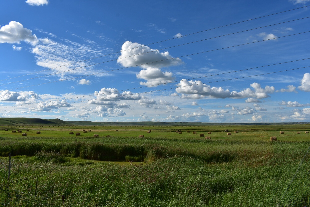 Latest The Naswa Resort Map,Address, Nearest Station & Airport 2025 ...