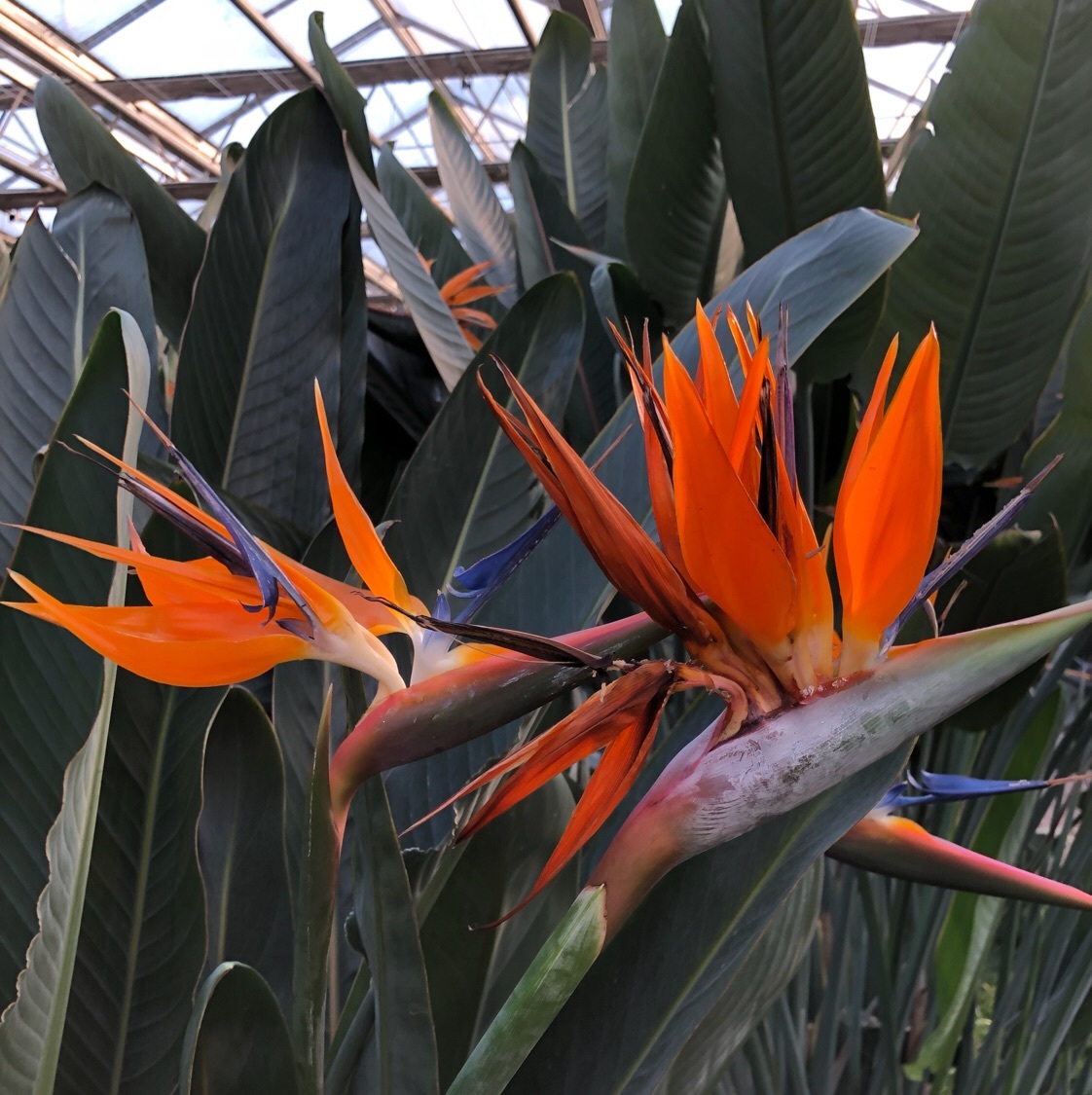 Latest Bamburi Beach Hotel Map,Address, Nearest Station & Airport 2024 ...