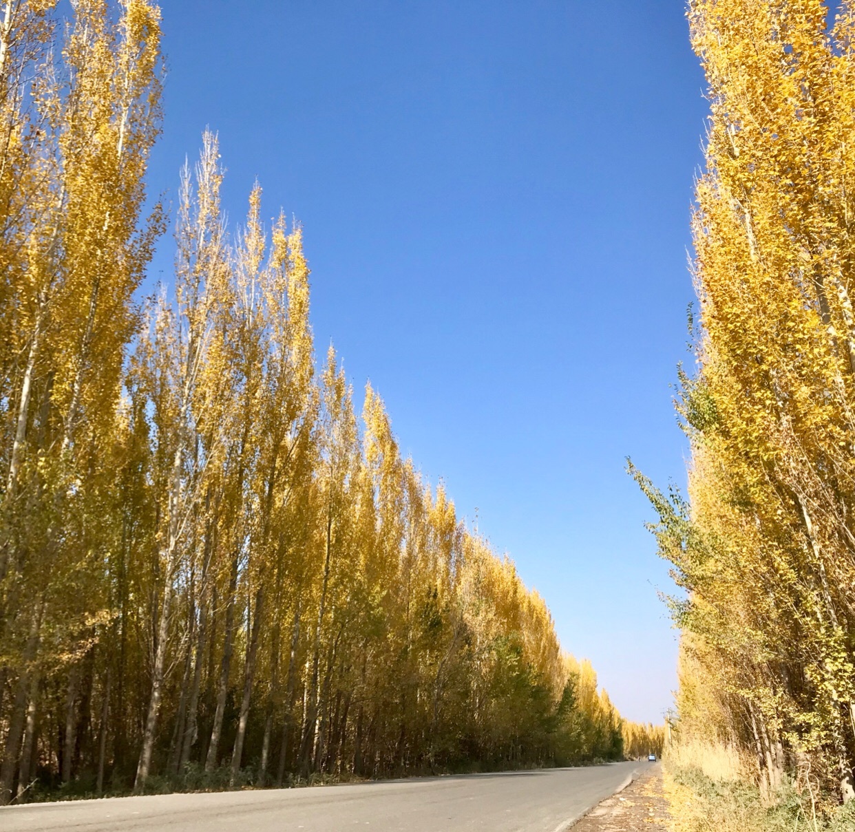 Latest Yering Gorge Cottages Map,Address, Nearest Station & Airport ...